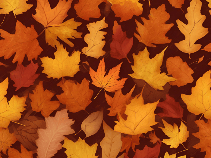 Second Life Marketplace - Fall Leaves Textures